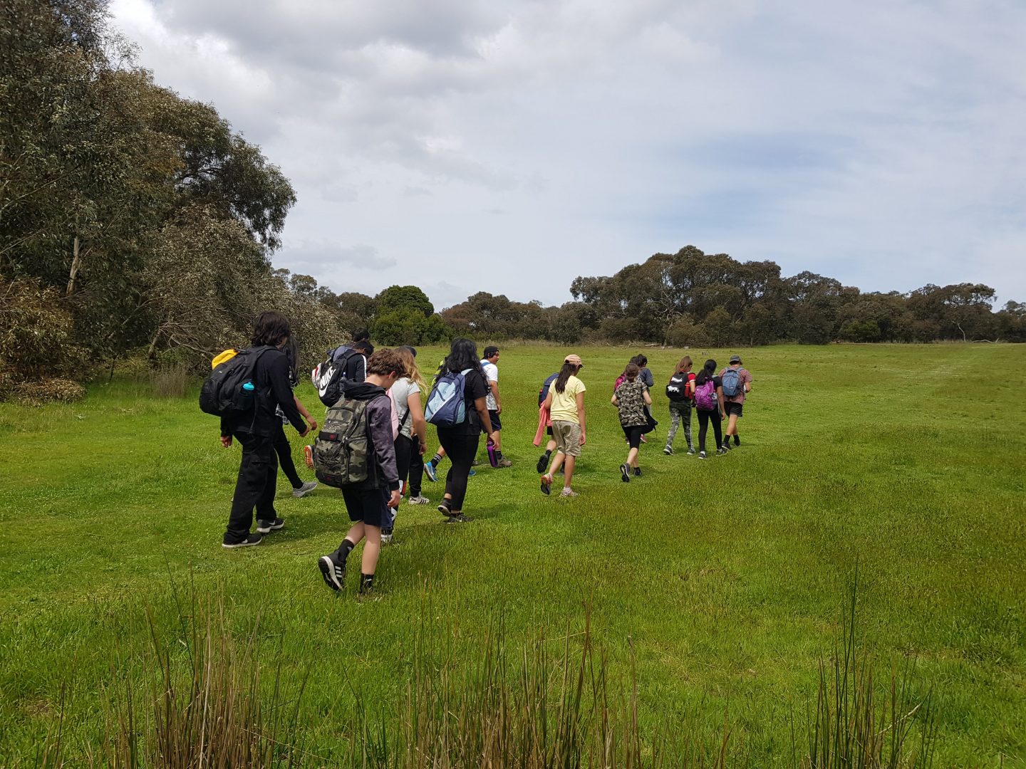 Southern Cross Grammar