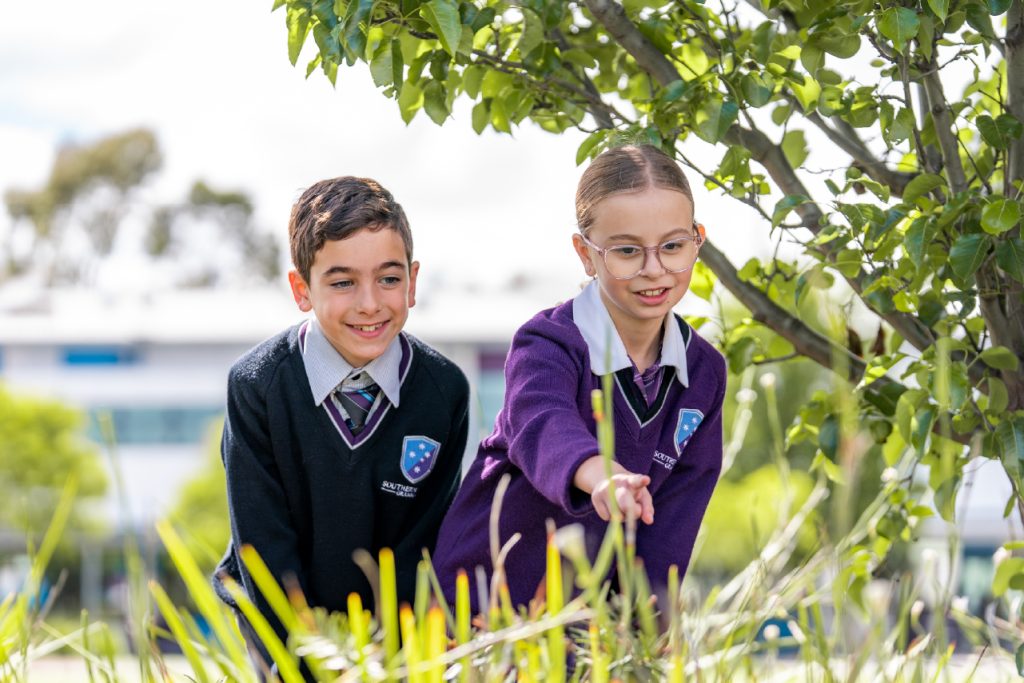 Primary School - Southern Cross Grammar