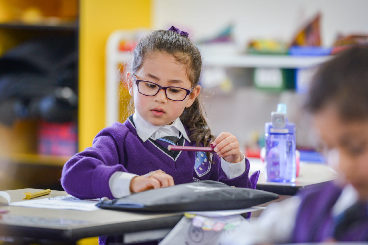 Primary School - Southern Cross Grammar